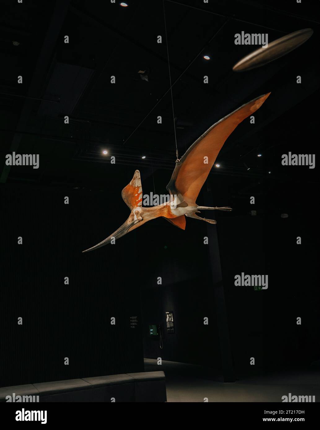 Prague, Czechia-October 7, 2023. Pterodactyl, pteranodon model in ...