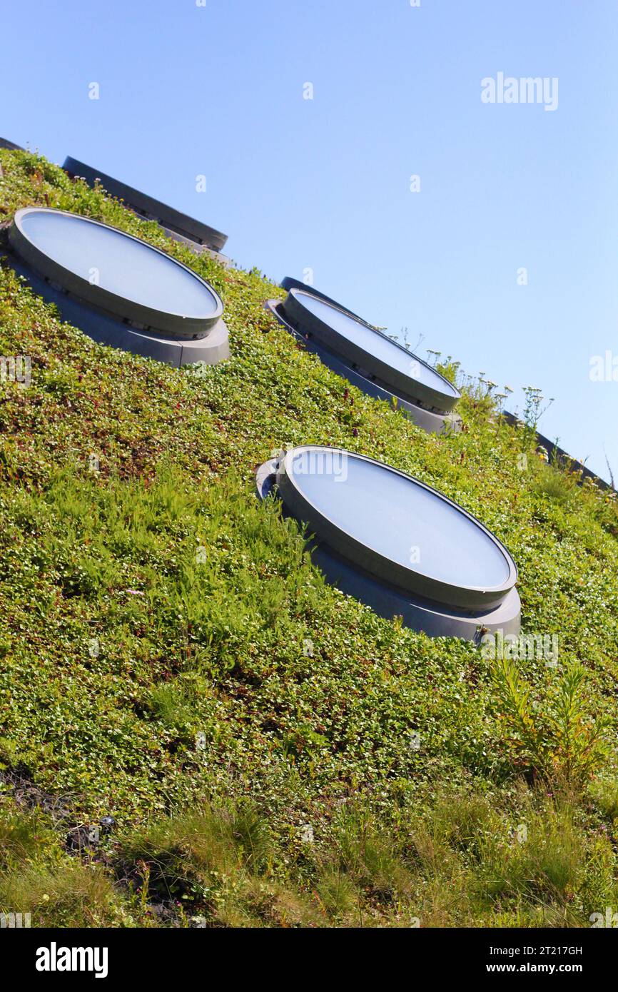 circular shaped skylights on a undulating surface of grass, in the ...