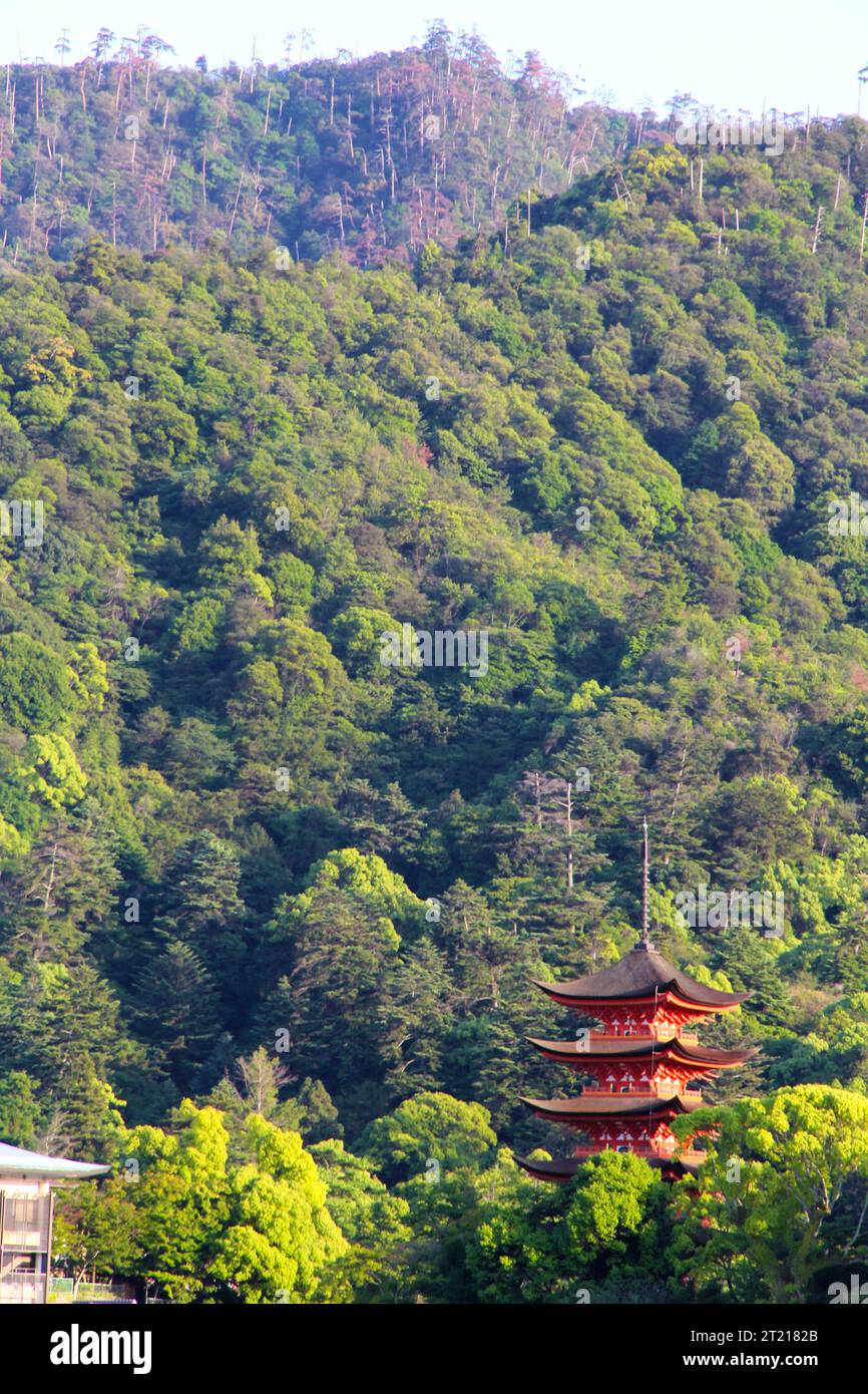 Distant image of a red temple between the mountains and jungle ...