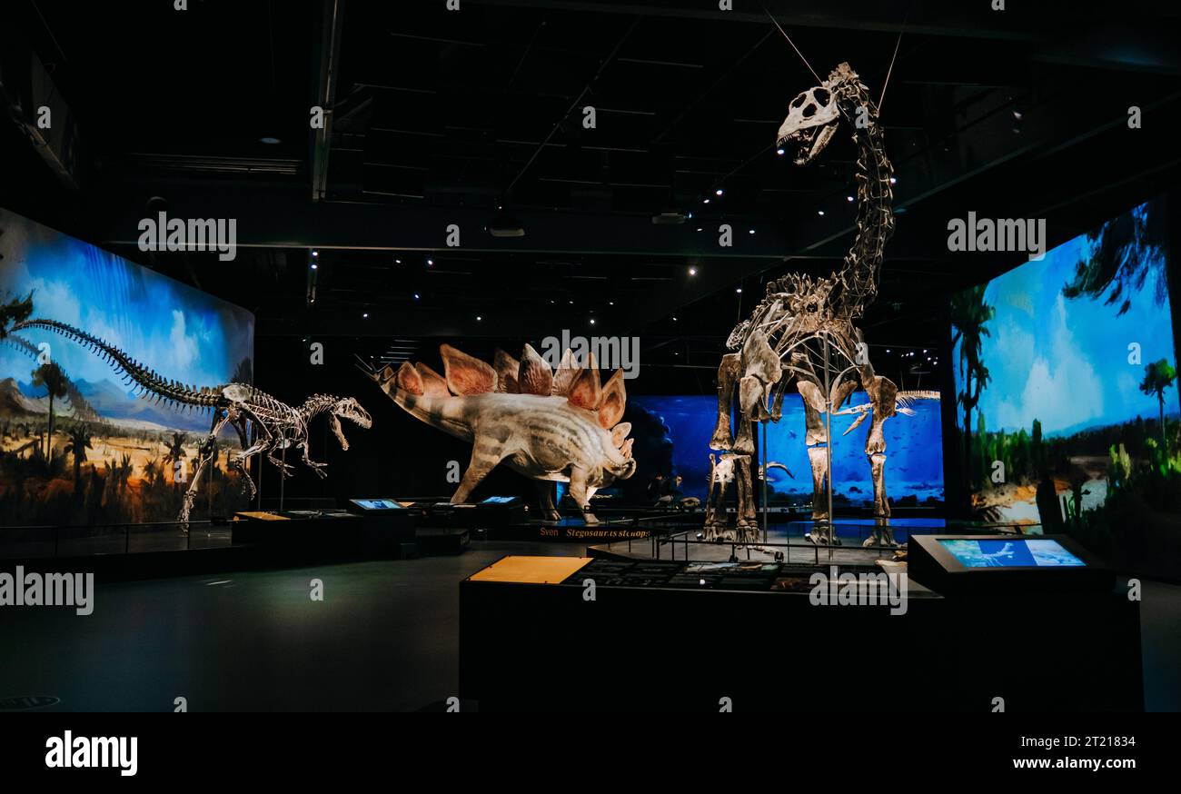 October 2023 - Prague, Czechia. Diplodocus skeleton model in Dinosaur ...
