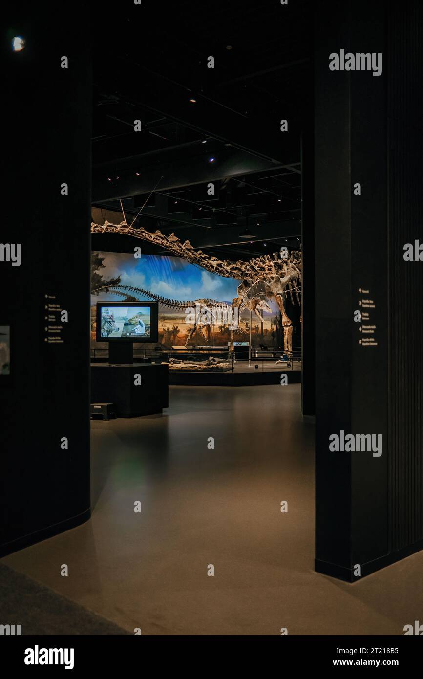October 2023 - Prague, Czechia. Diplodocus skeleton model in Dinosaur ...