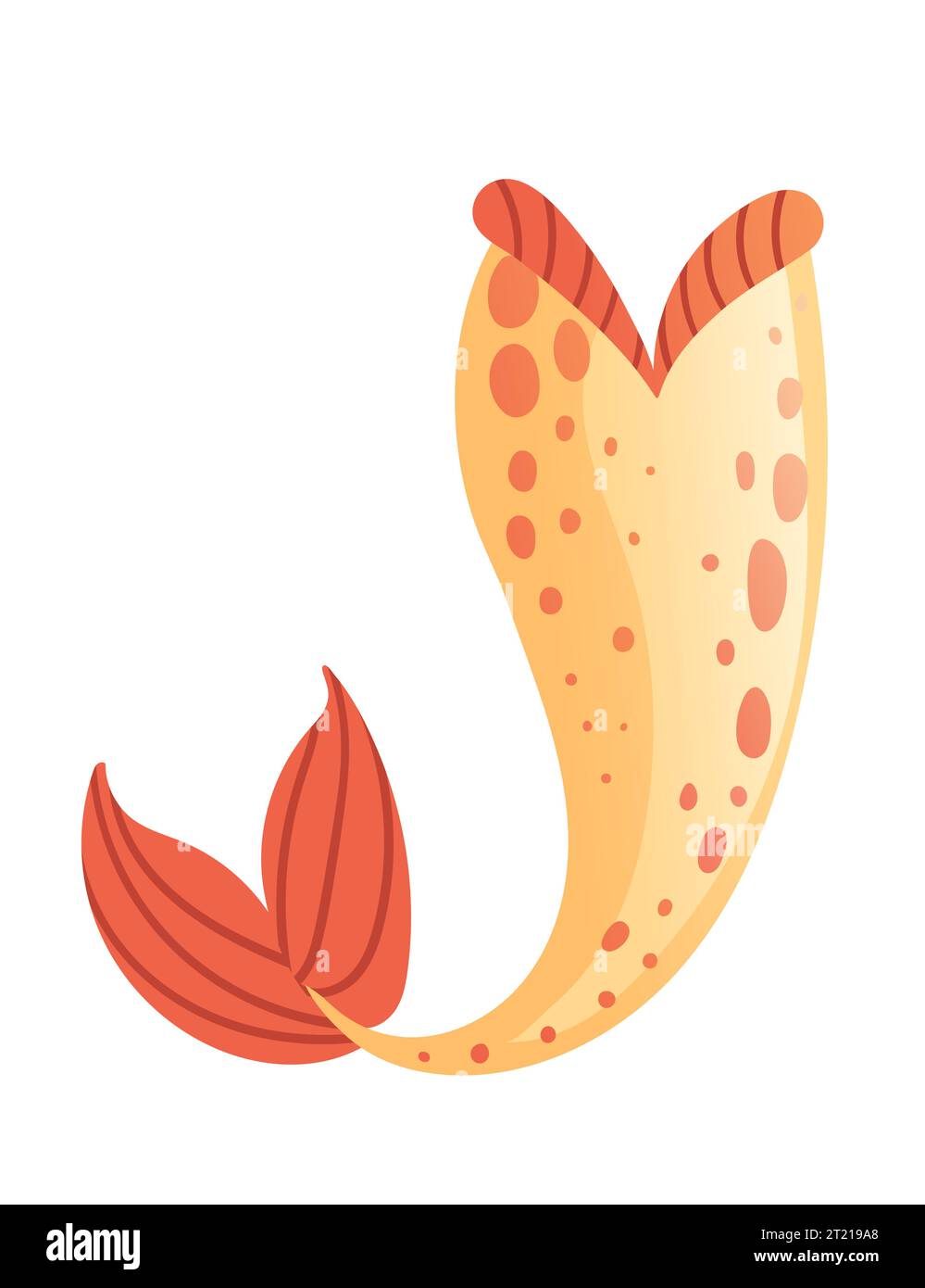 Mermaid tail for costume or cosplay orange color vector illustration ...