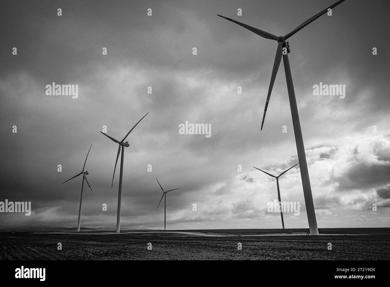 A low angle of windmills in Jordan in grayscale Stock Photo - Alamy