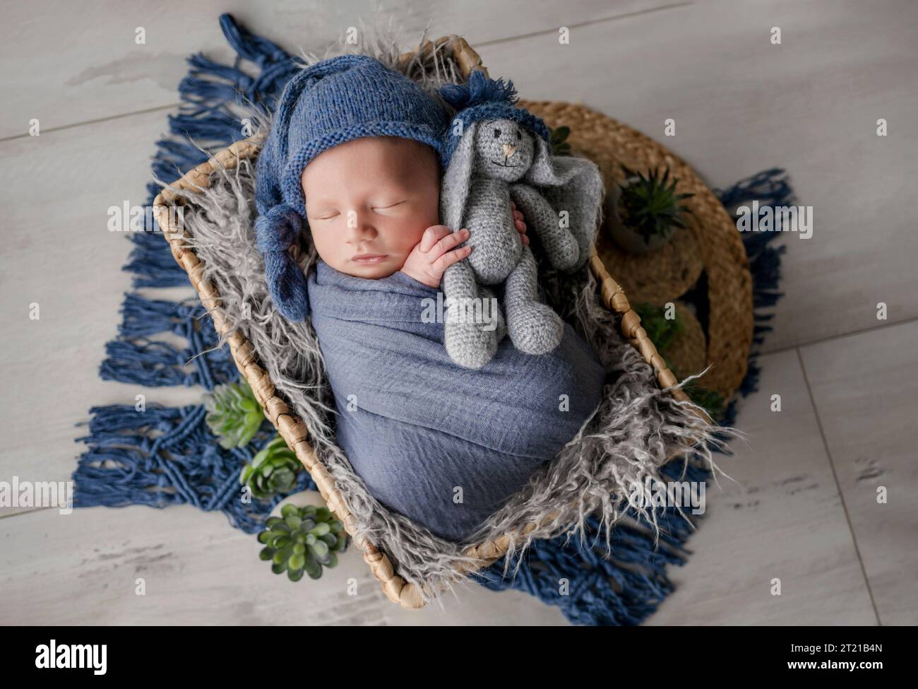 Adorable newborn baby boy swaddled in blanket holding knitted bunny toy ...