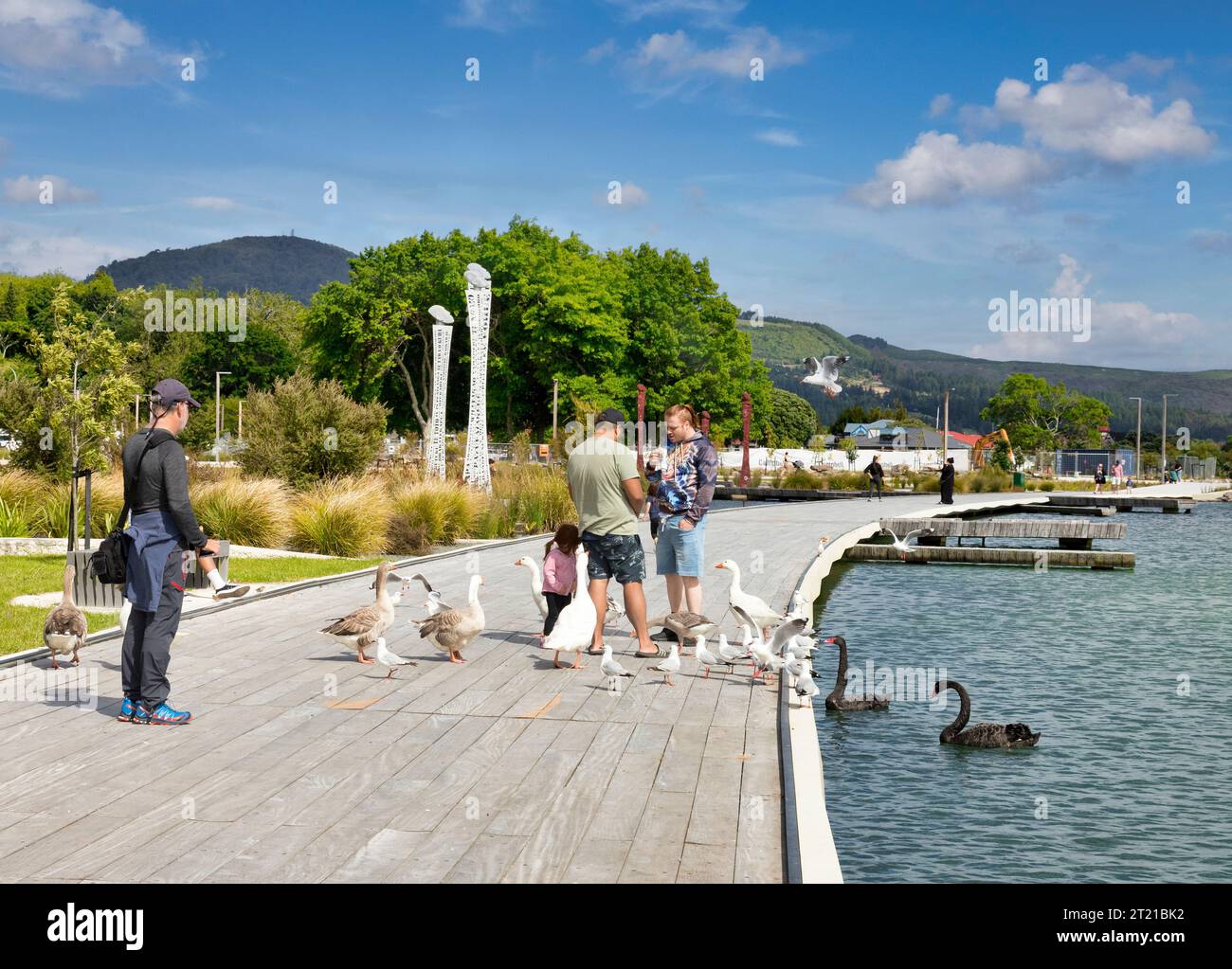 3 December 2022: Lake Rotorua, Bay of Plenty, New Zealand - Families ...