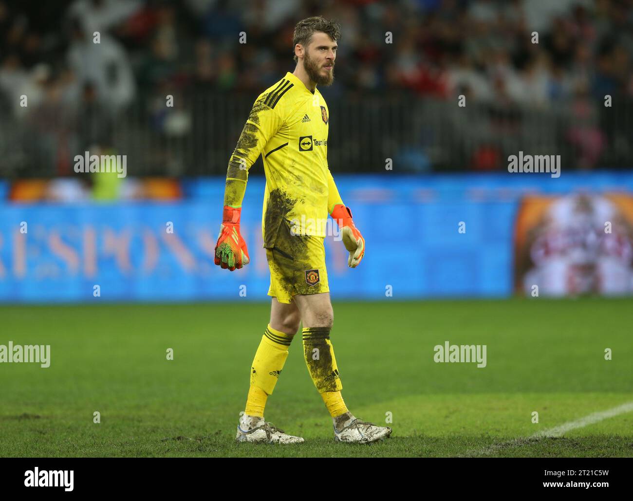David De Get of Manchester United during the match between Manchester ...