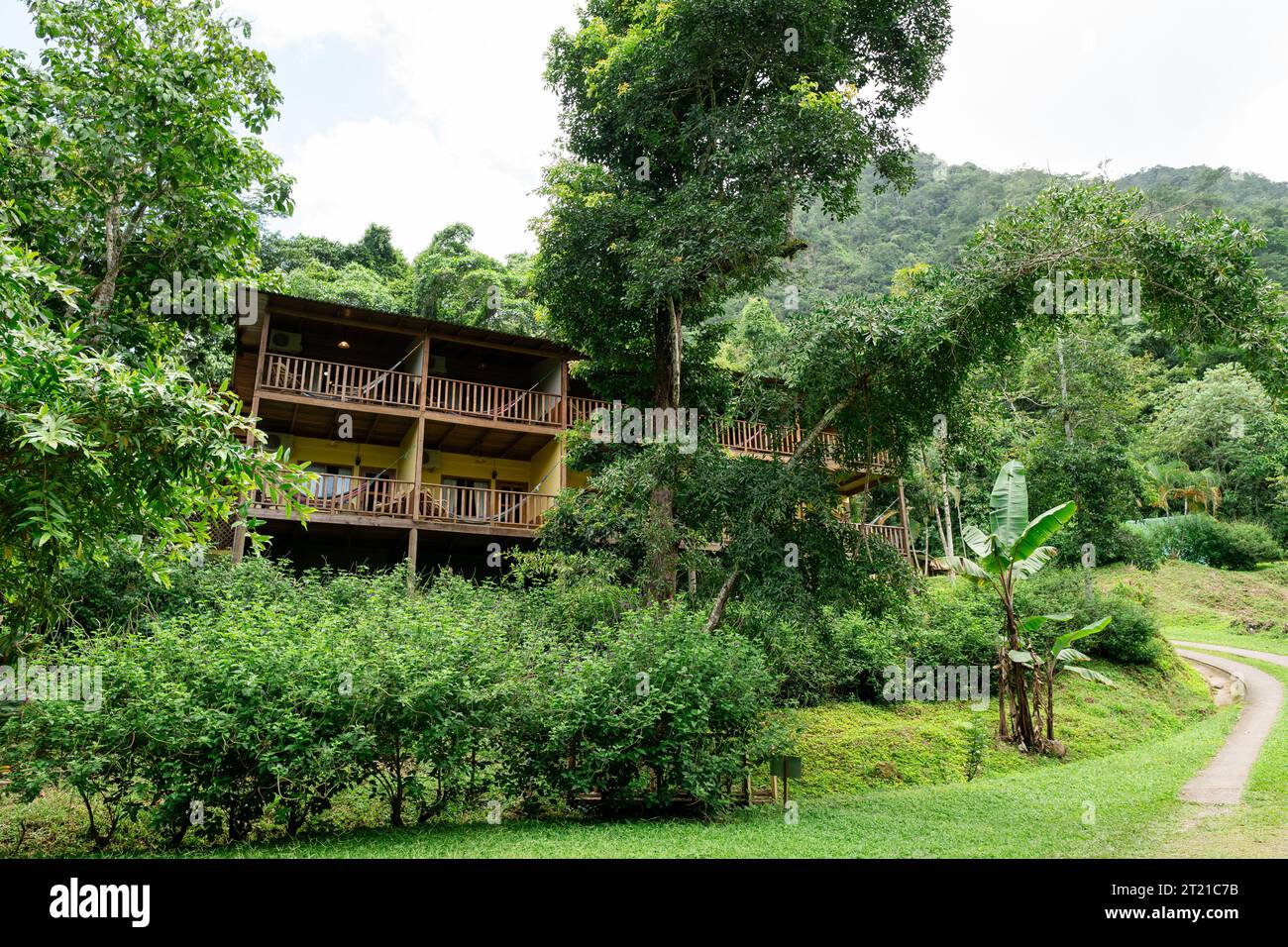 A wooden building in the middle of a lush, tropical jungle, surrounded ...
