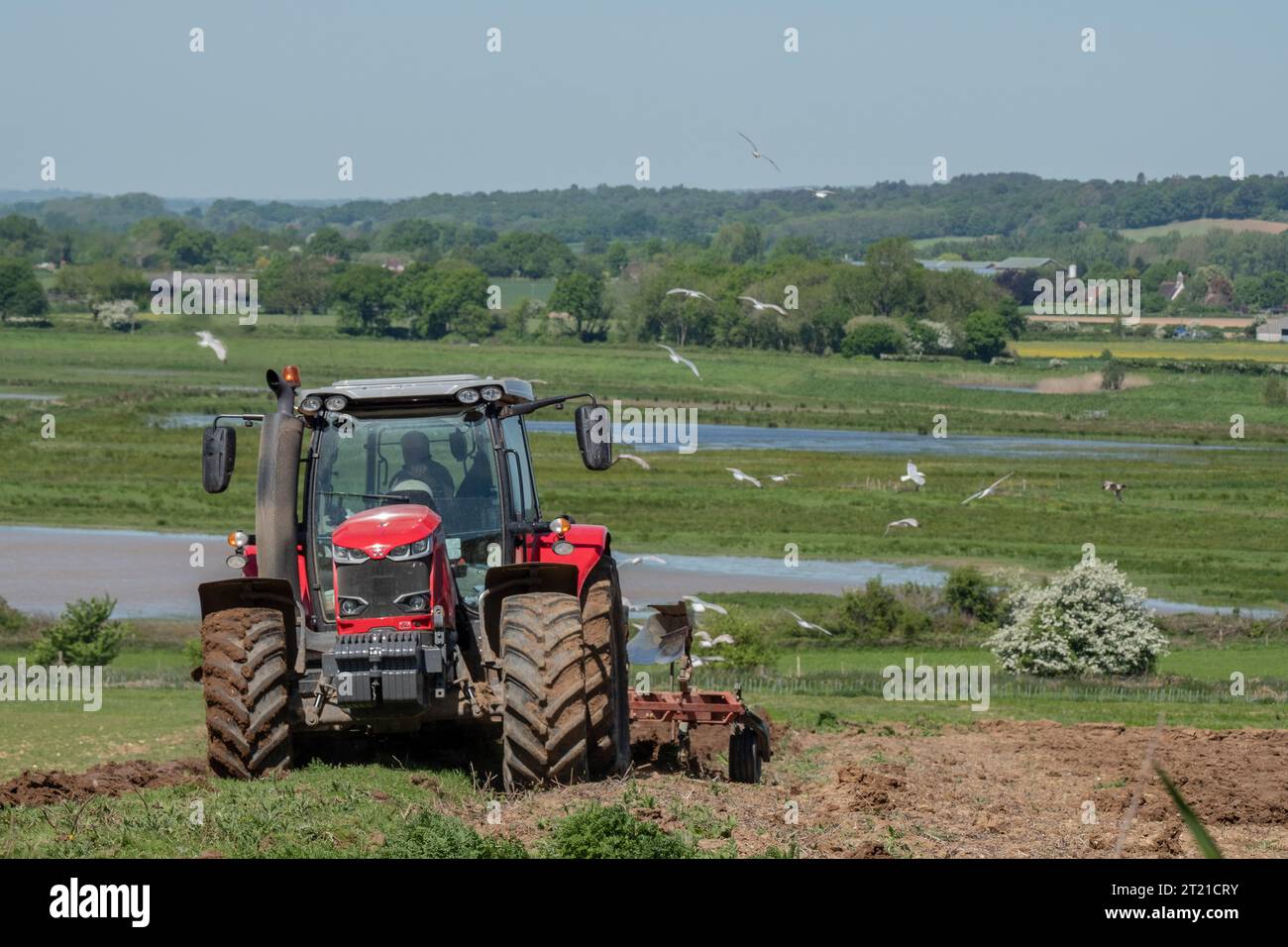 Massey Ferguson 7716 tractor ploughing a field Stock Photo - Alamy