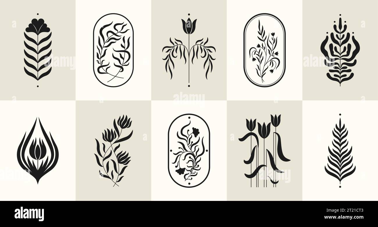 Abstract contemporary floral set. Botanical elements with leaves and ...