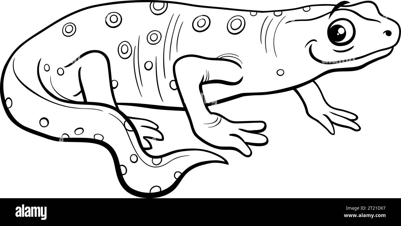 Cartoon illustration of newt amphibian comic animal character coloring ...