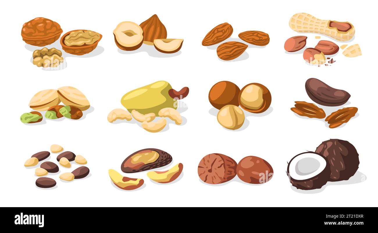 Set of nuts cartoon colorful nuts kernels hi-res stock photography and ...