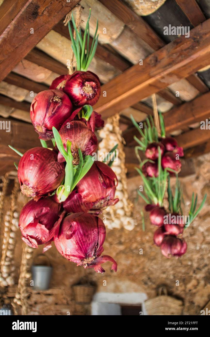 Suspended brown onions hi-res stock photography and images - Alamy
