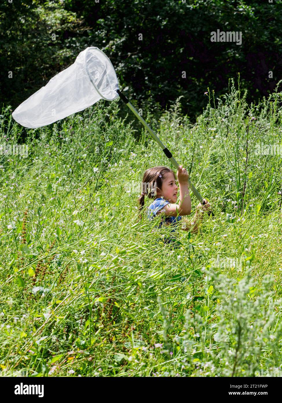 Young girl catching butterflies Stock Photo - Alamy