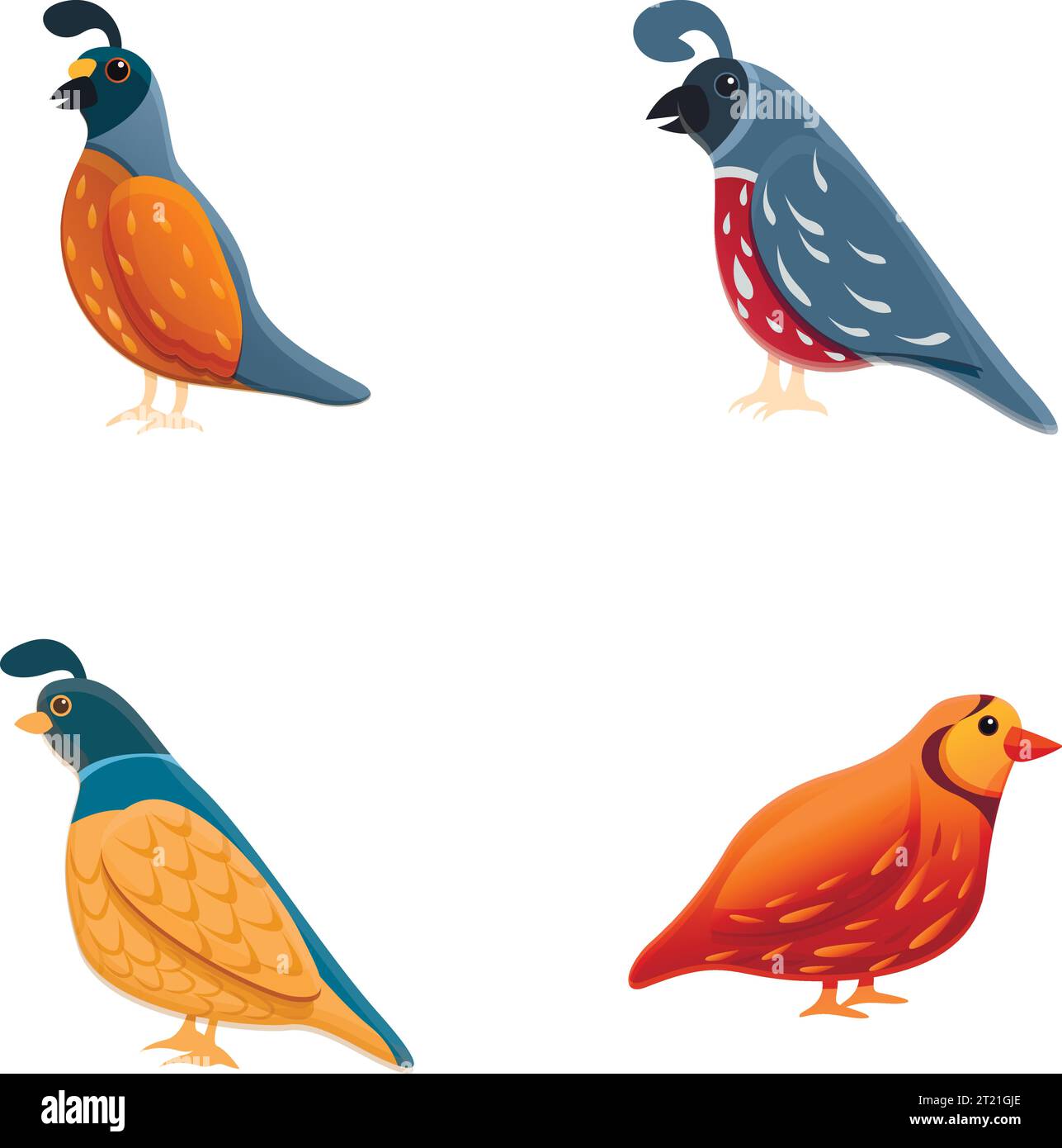 Partridge icons set cartoon vector. Variegated wild bird. Ptarmigan ...