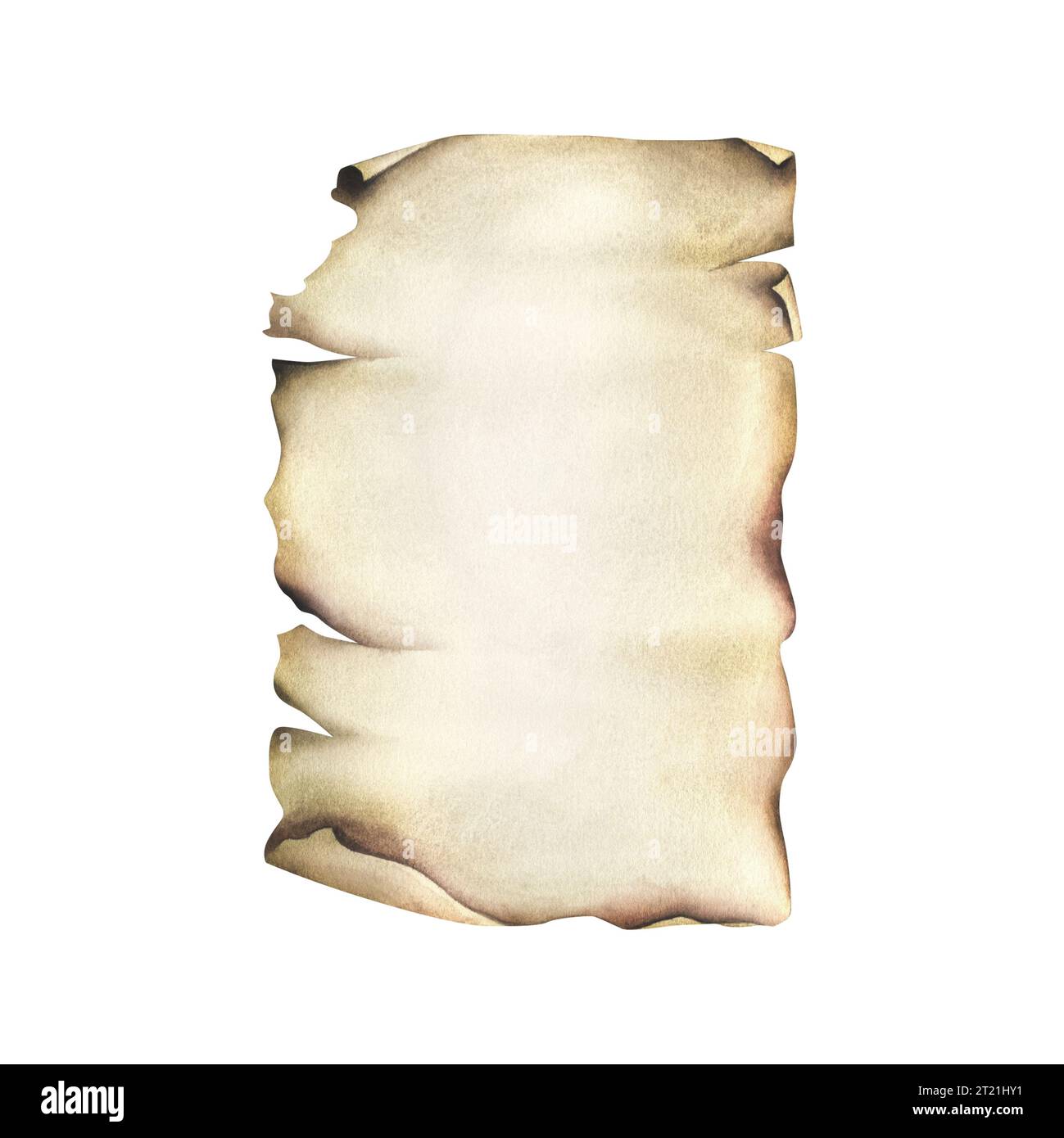 Parchment brown sheet of paper with old torn and curled edges. Hand ...