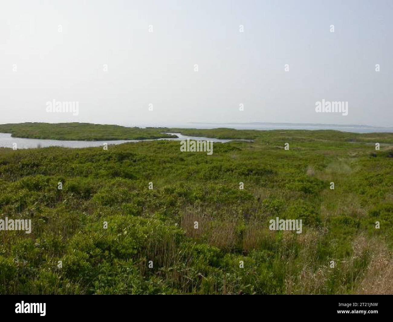 Coastal marsh, Nomans Island, Nantucket, MA. Subjects: Coastal ...