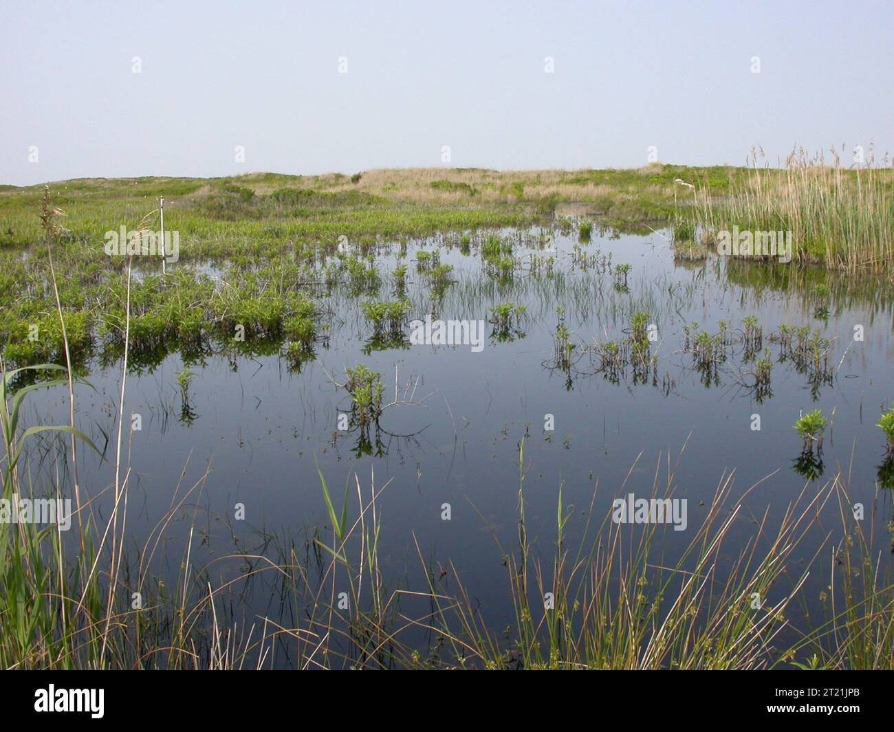 Nomans island hi-res stock photography and images - Alamy