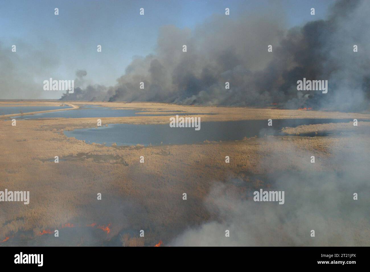 Refuge habitat enhancement hi-res stock photography and images - Alamy