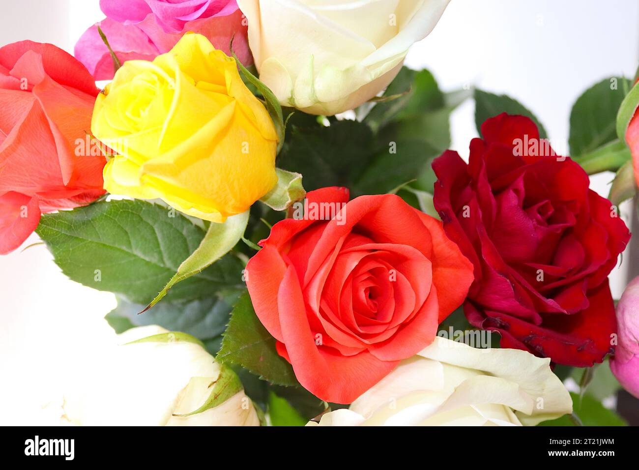 August bouquet hi-res stock photography and images - Alamy