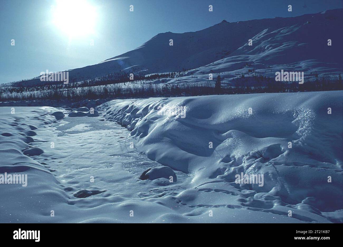 Creator: Goldmann, Jo. Subjects: Wildlife refuges; Arctic National ...