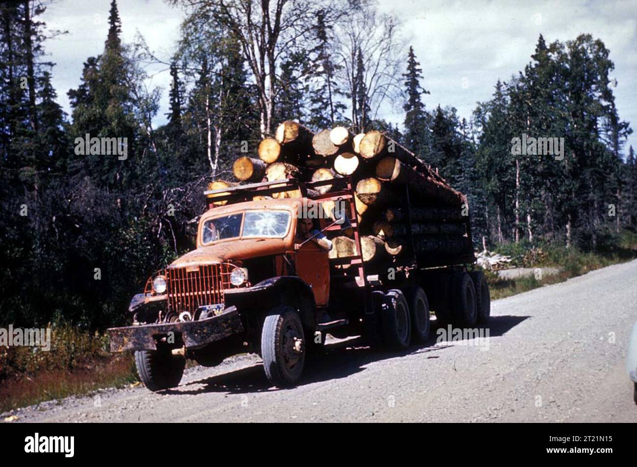 A logging truck carries a load of saw logs, typical of transportation ...