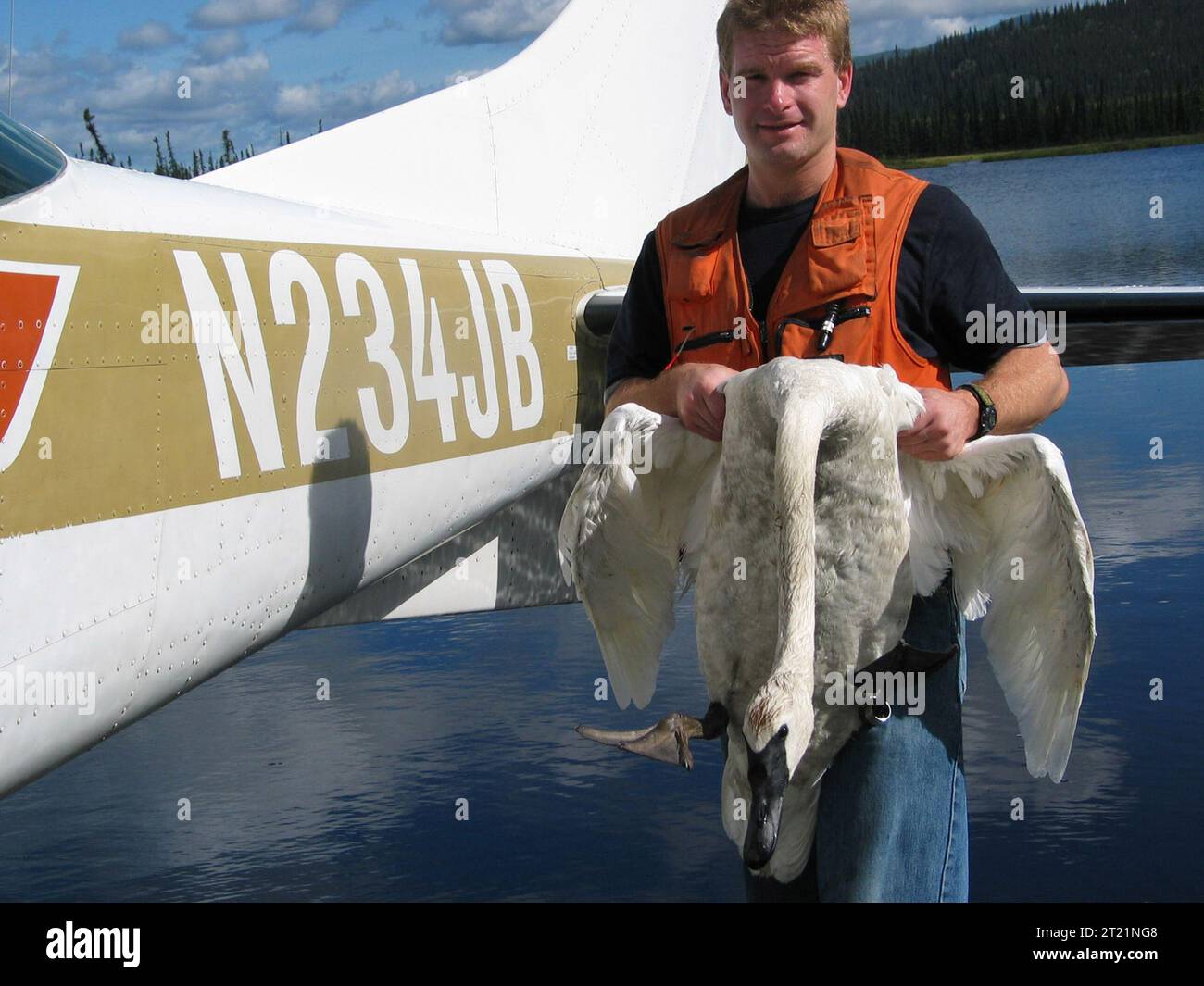 Waterfowl population survey hi-res stock photography and images - Alamy