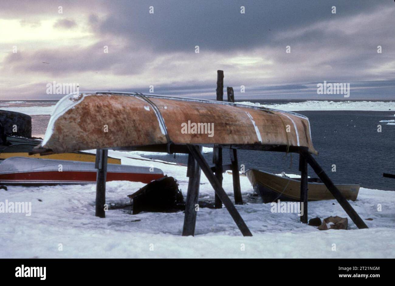 The Umiak is a traditional skin-covered boat used for subsistence ...