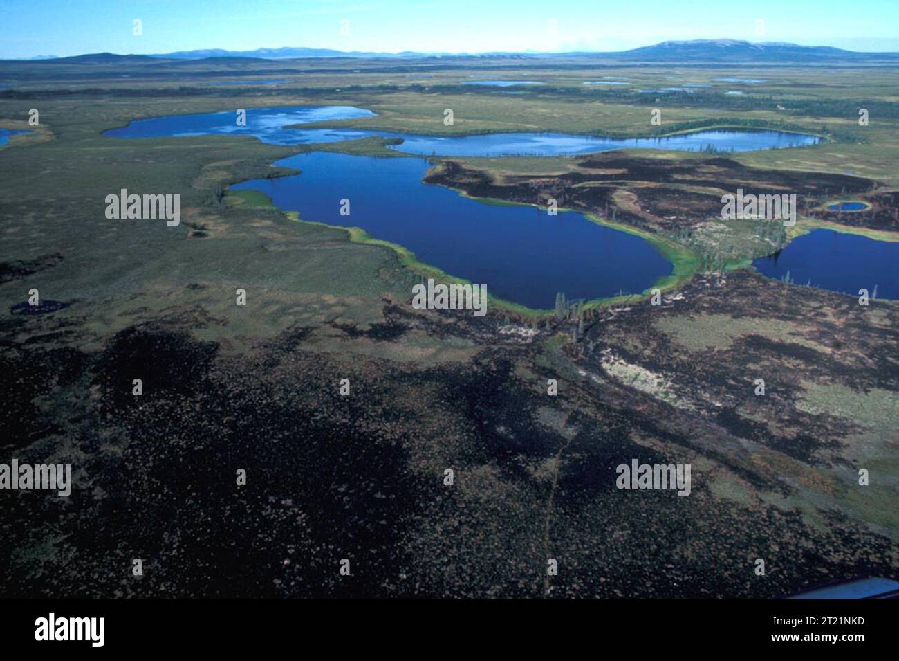 Aerial view of Selawik NWR wetlands burn area. Subjects: Scenics ...