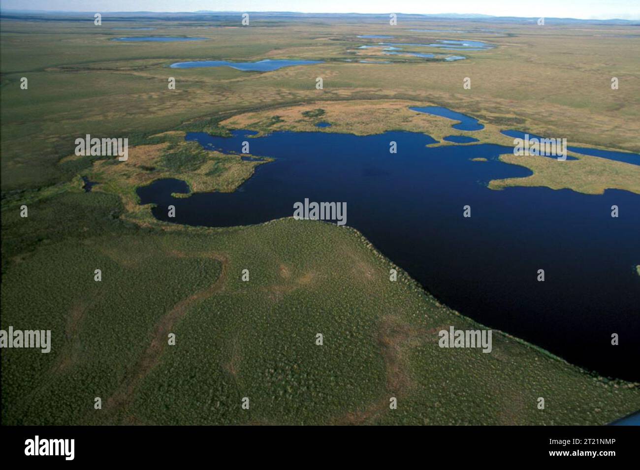 Aerial view of Selawik NWR wetlands. Subjects: Scenics; Landscapes ...