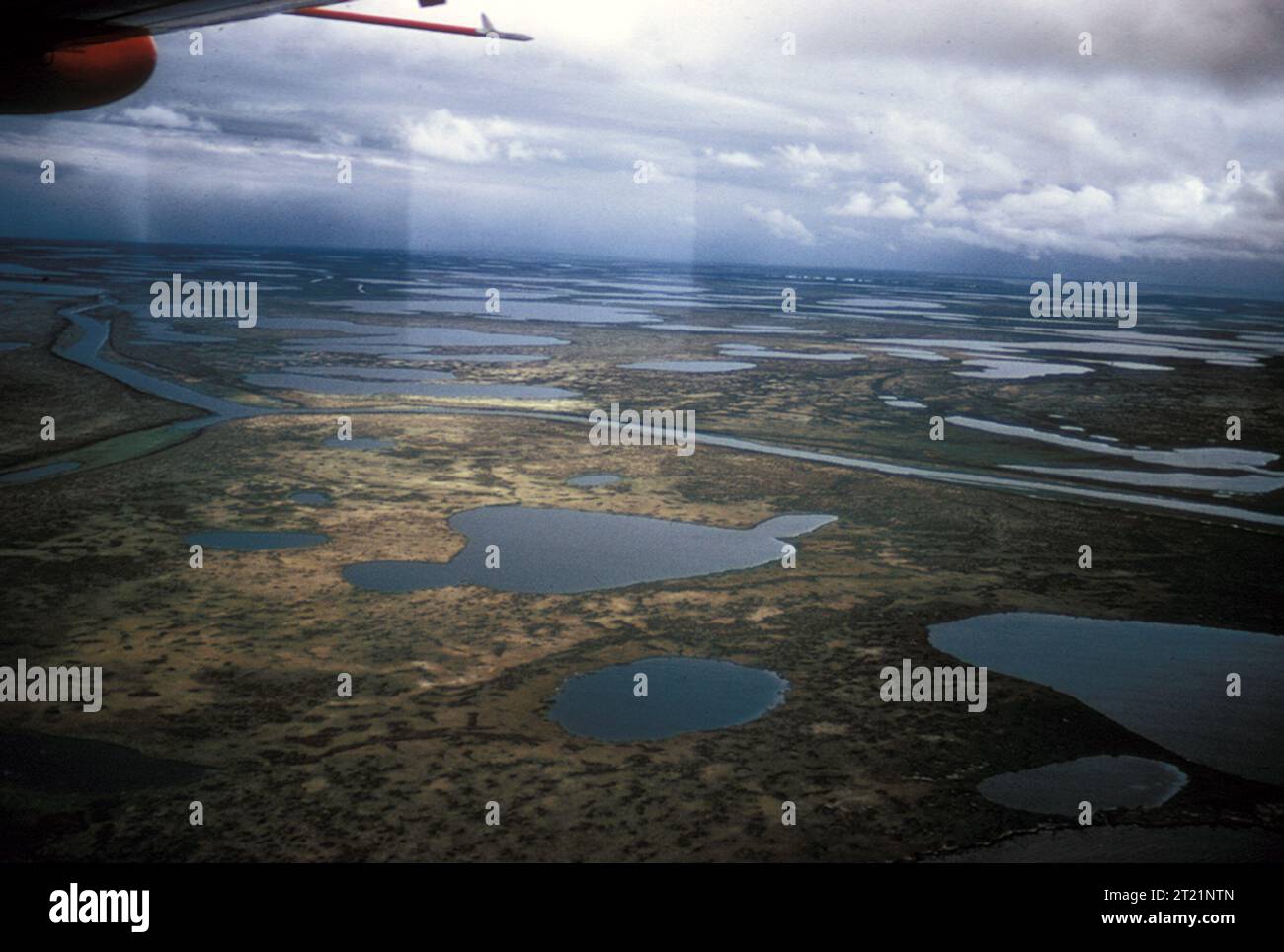 Aerial view of the wetlands in Selawik National Wildlife Refuge, Alaska ...