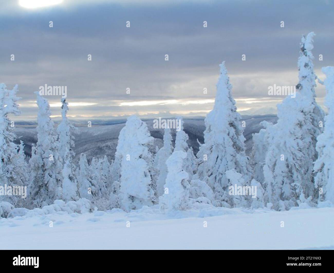 Terrestrial ecosystems hi-res stock photography and images - Alamy