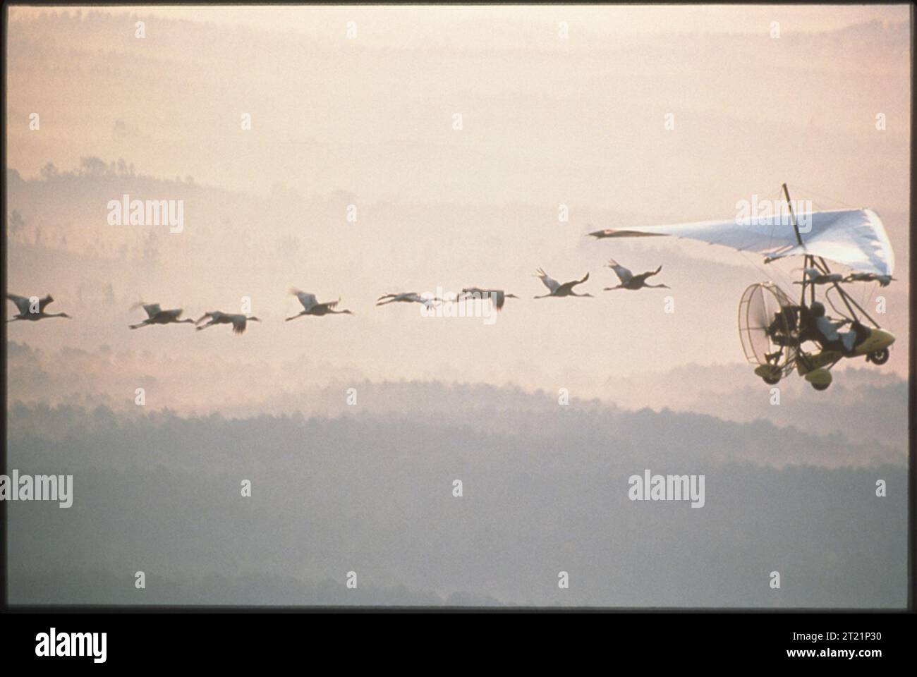 Operation migration whooping cranes hi-res stock photography and images ...