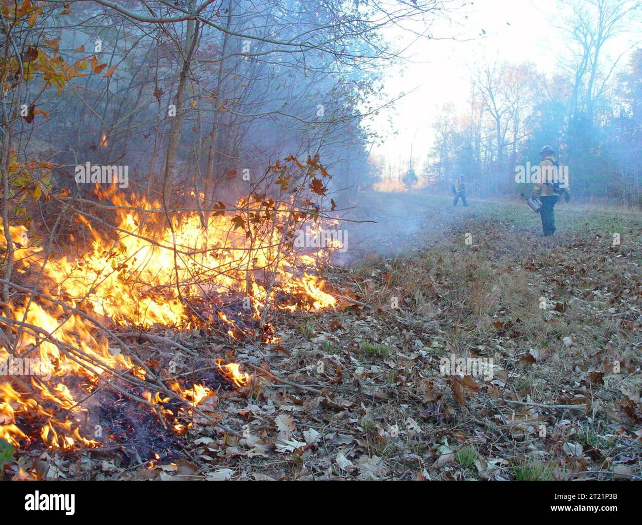 Joint fire science program hi-res stock photography and images - Alamy