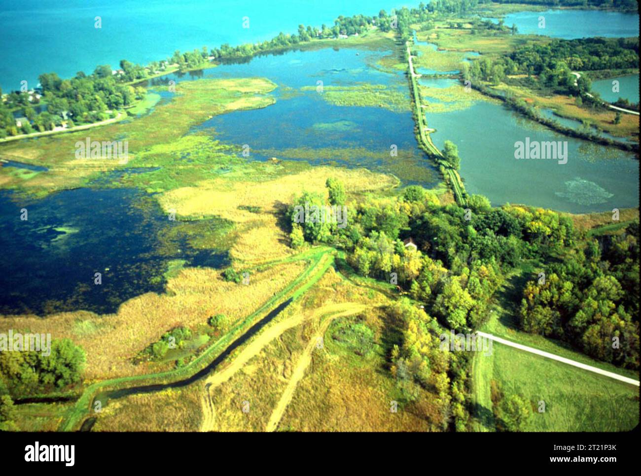 Migratory birds birds conservation commission hi-res stock photography ...
