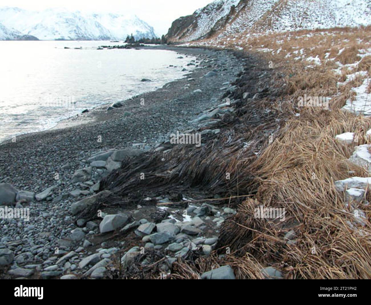 Humpback Cove and North Shore of Portage Bay, Unalaska Island. U. S ...