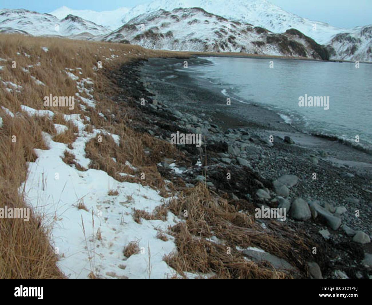 Wildlife refuges alaska maritime national wildlife refuge hi-res stock ...