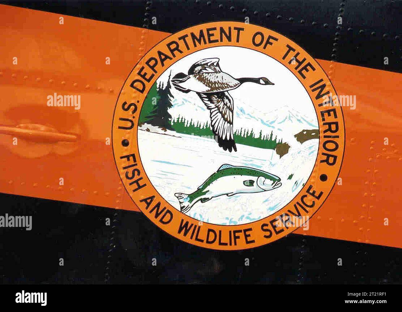 Aleutian goose hi-res stock photography and images - Alamy