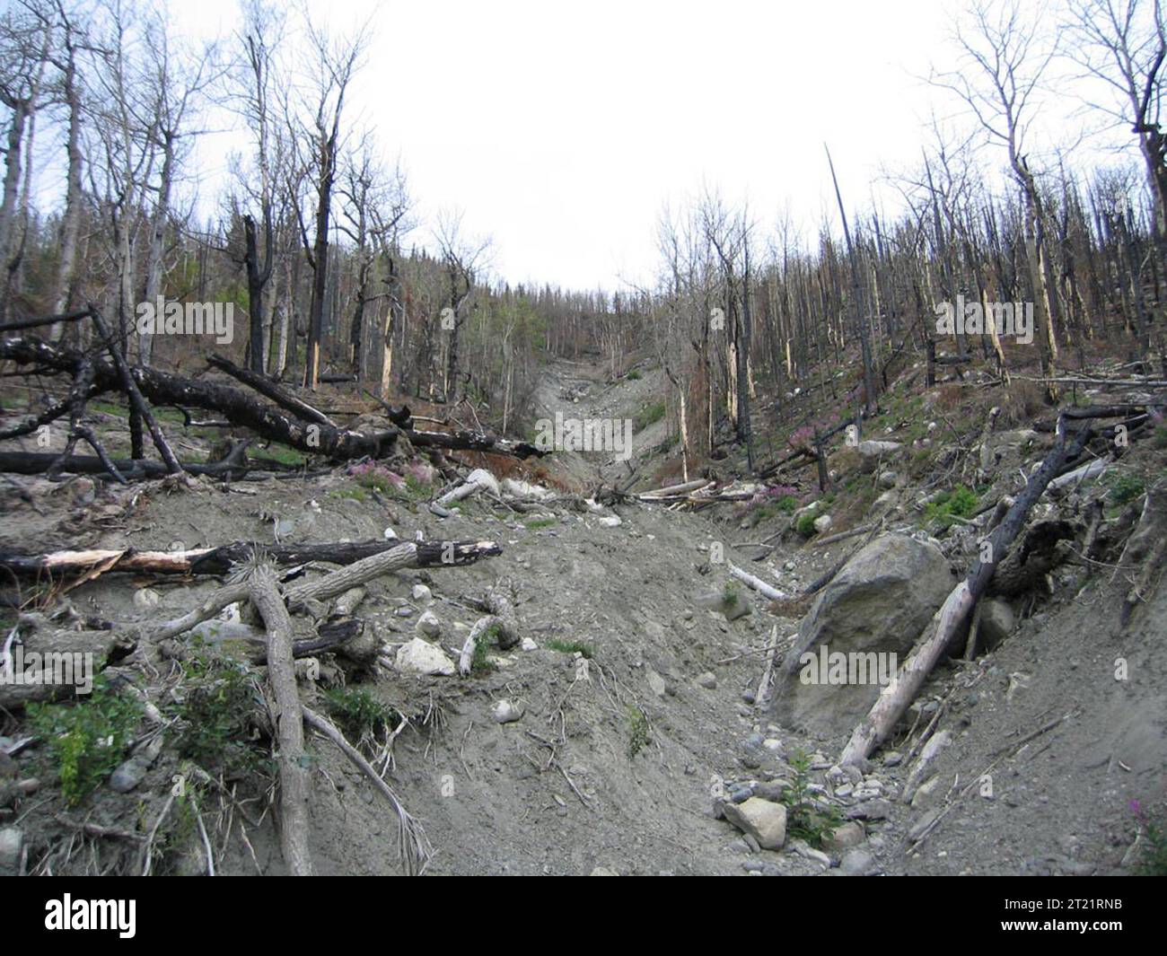 Baer field hi-res stock photography and images - Alamy