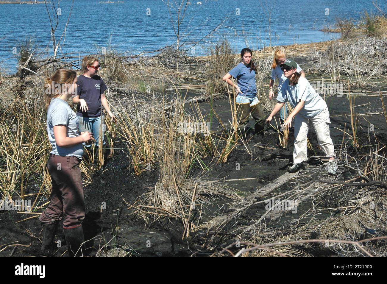 Habitat restoration and women hi-res stock photography and images - Alamy