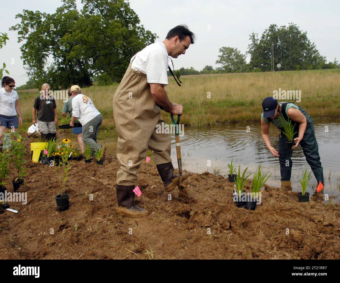 Six people wearing waders and boots work together to restore a wetland ...