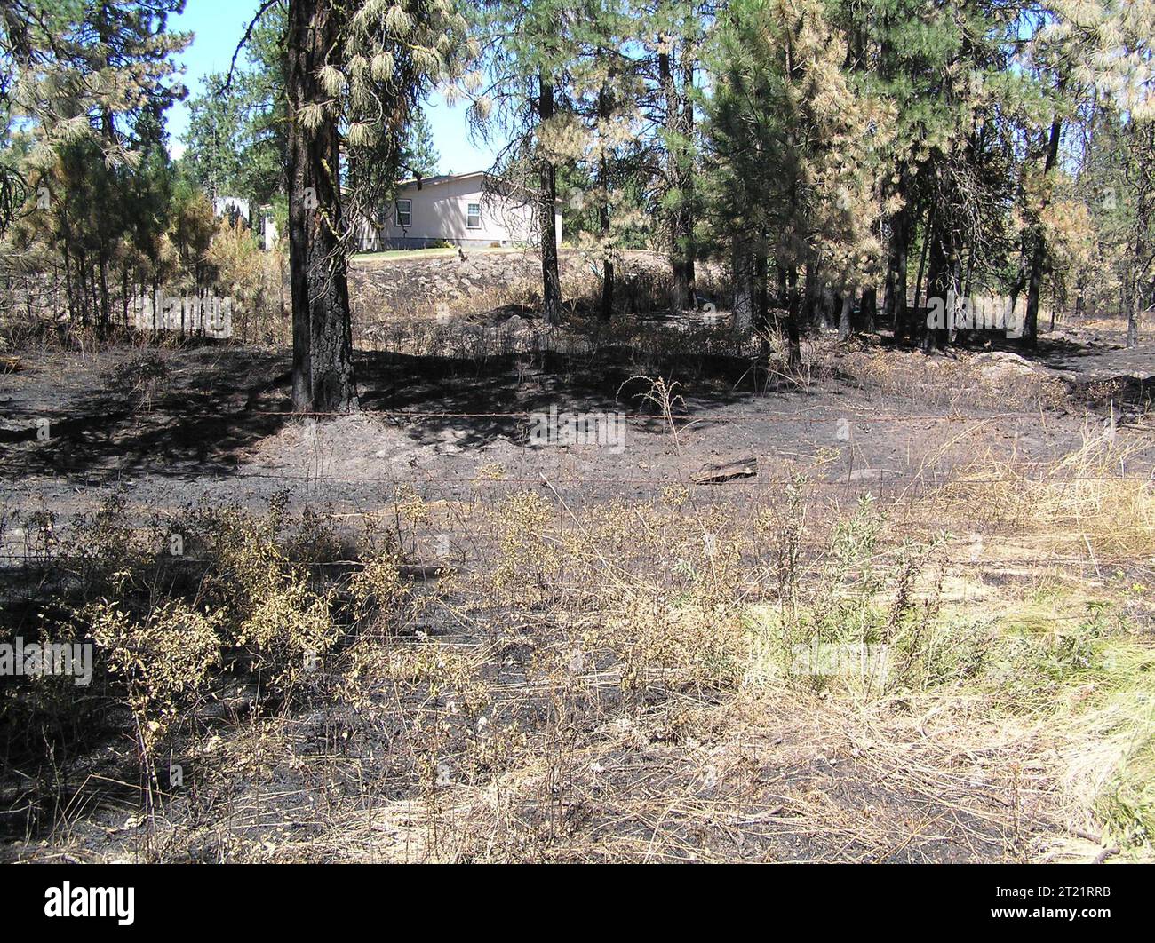 2011 wildfire hi-res stock photography and images - Alamy