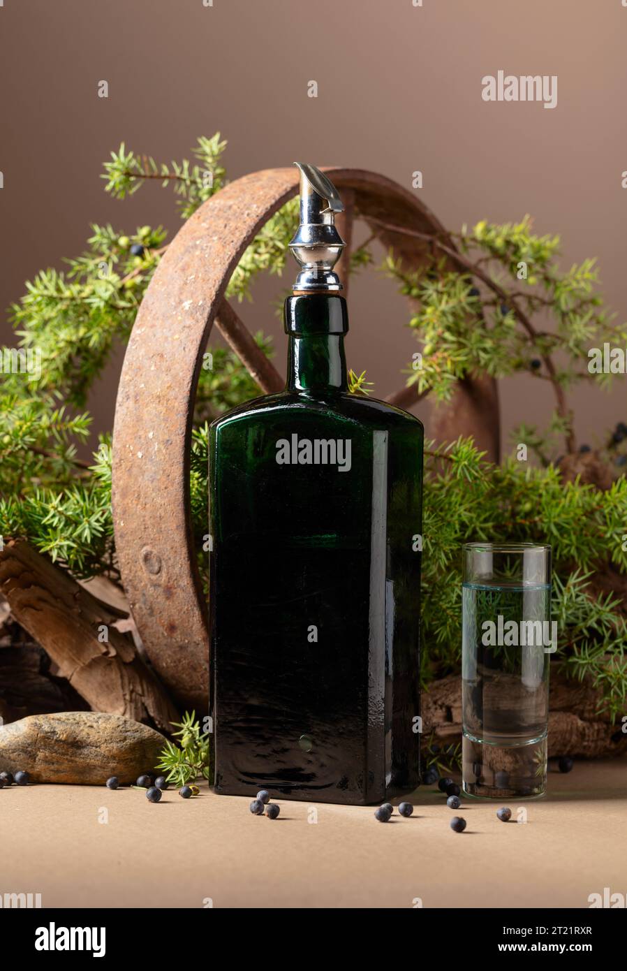 Gin in vintage bottle with rusty iron wheel, old snags, and juniper ...