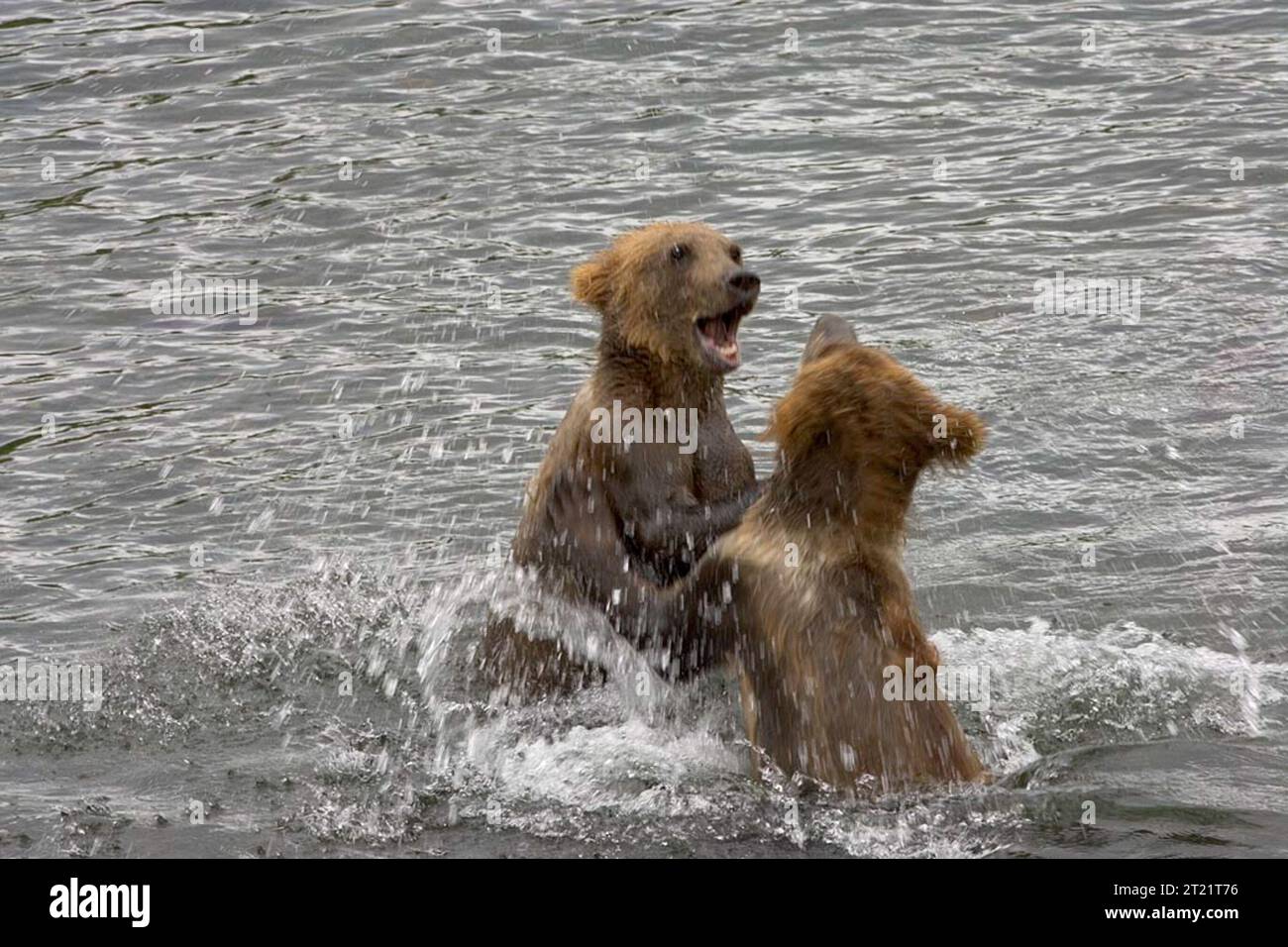 Spawning sites hi-res stock photography and images - Alamy
