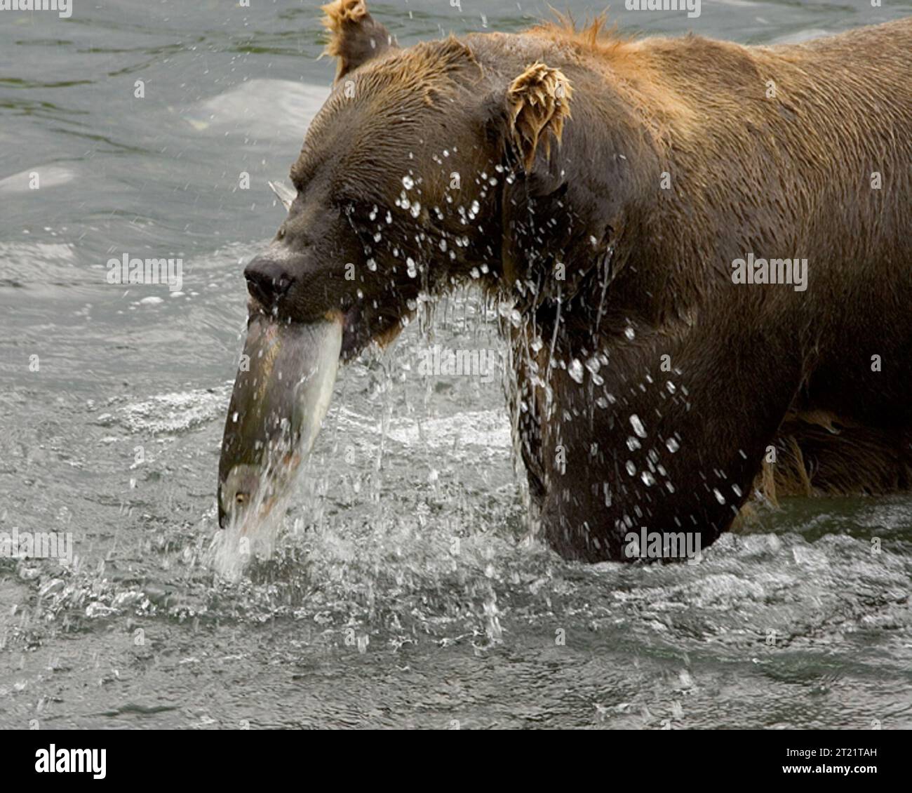 Fish ladders hi-res stock photography and images - Alamy