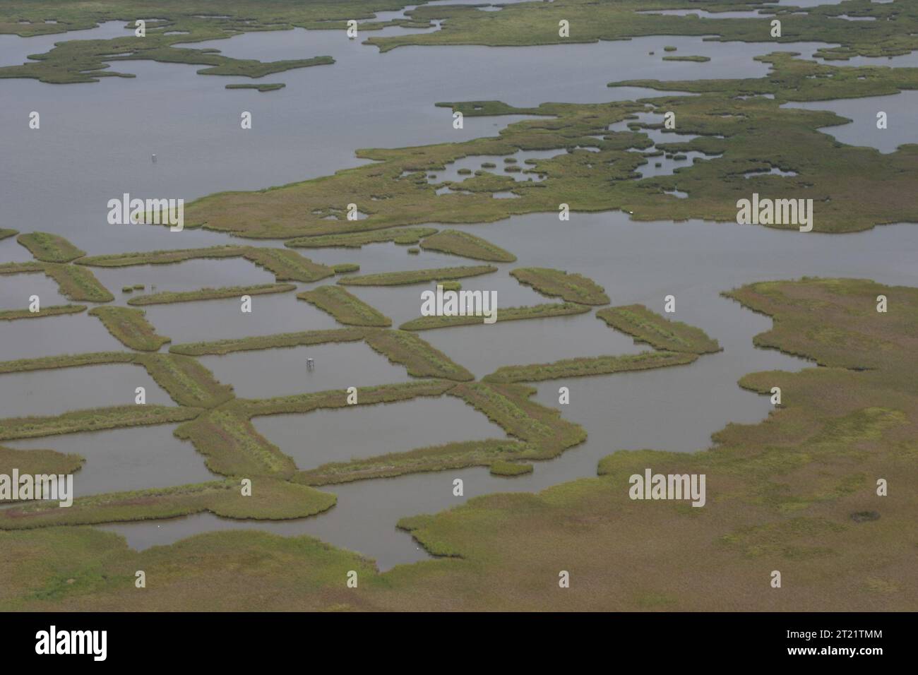 Checkerboard terraces at Sabine National Wildlife Refuge, Louisiana ...