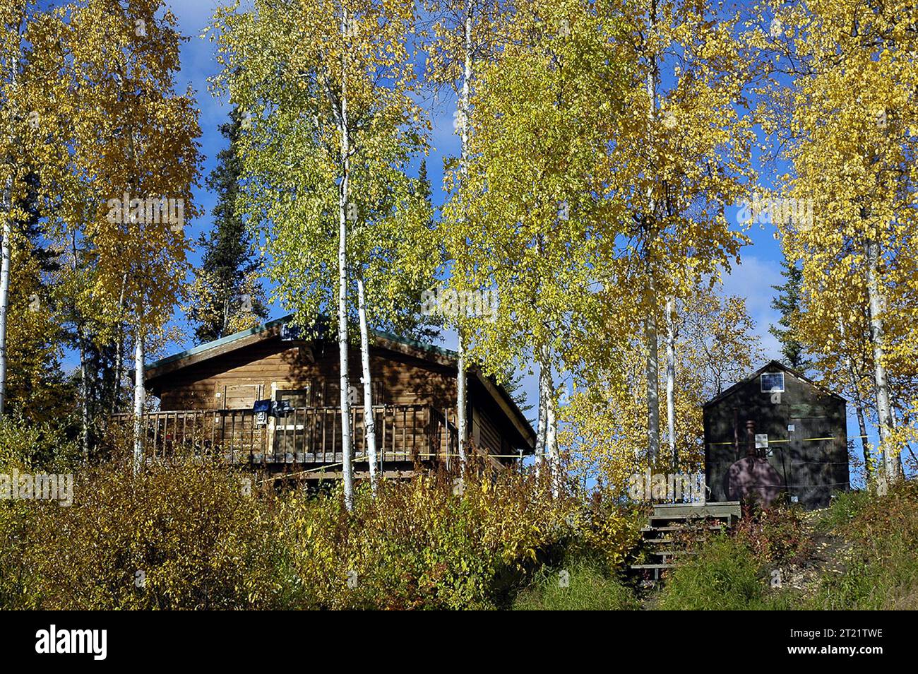 Creator: Raften, Bill. Subjects: Kanuti National Wildlife Refuge; Work ...