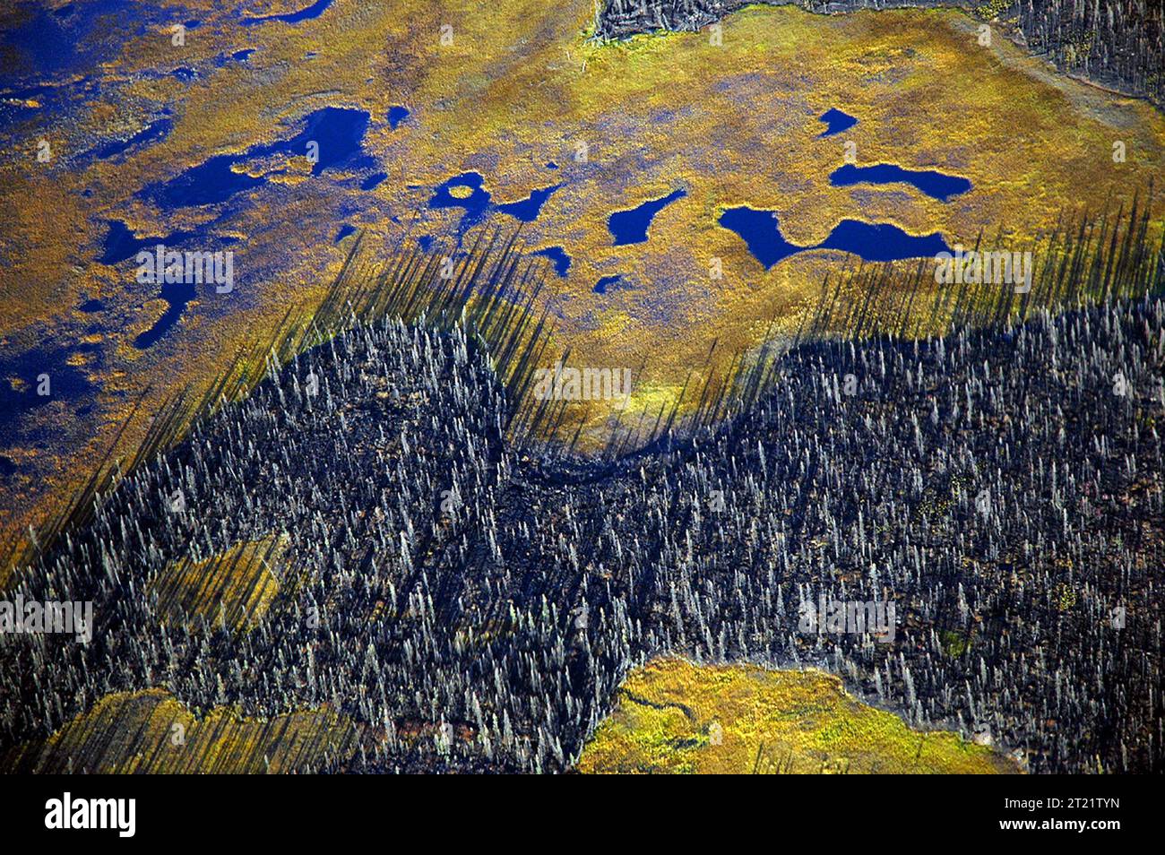 Creator: Raften, Bill. Subjects: Kanuti National Wildlife Refuge ...