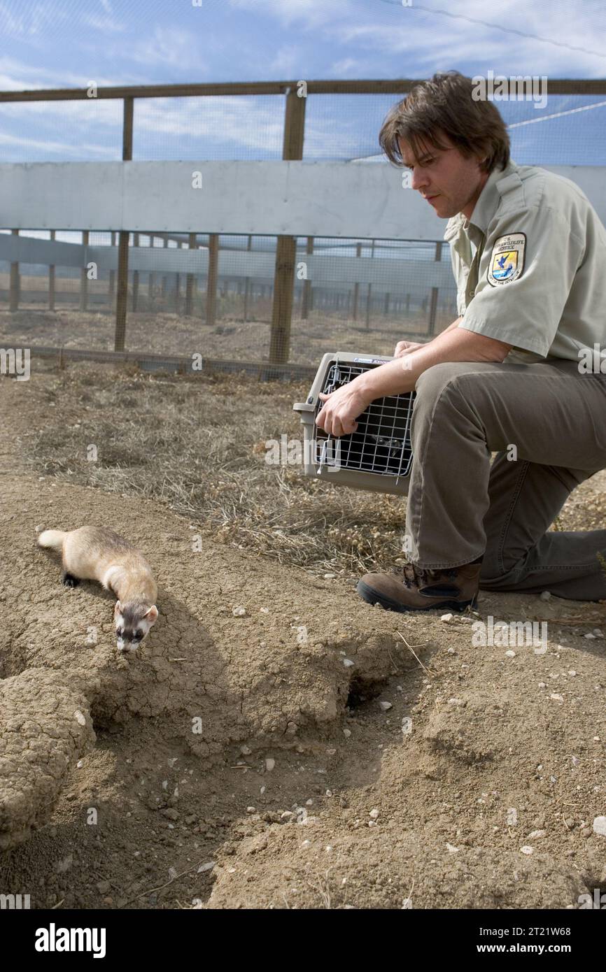 This photo was taken at Black-Footed Ferret Recovery Program in ...