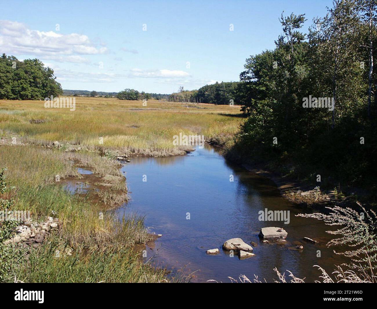 Productive wetlands hi-res stock photography and images - Alamy