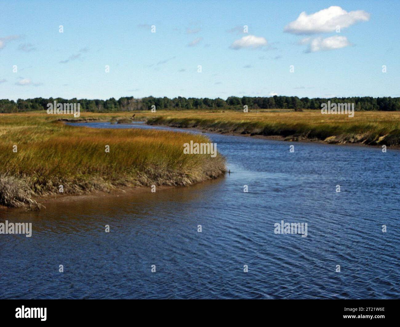 Saltwater marshes hi-res stock photography and images - Alamy